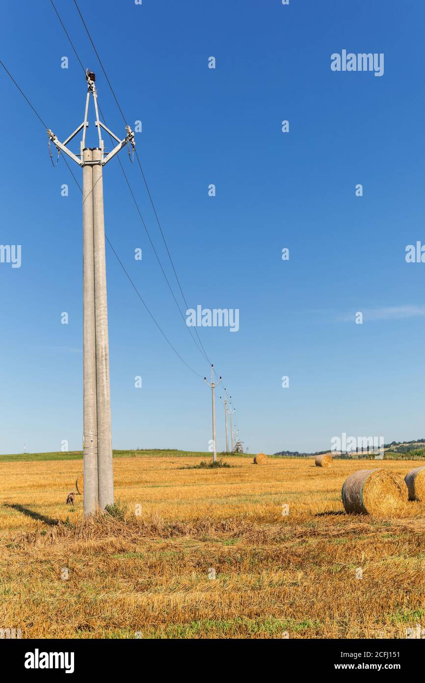 Power poles on harvested field. Energy industry. Power lines in the ...
