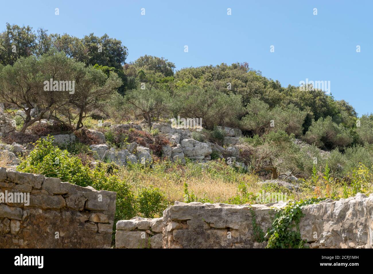 Alte steine hi-res stock photography and images - Alamy