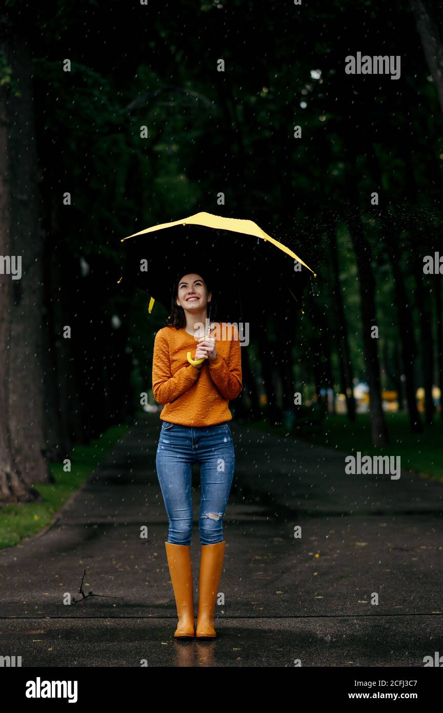 Woman with umbrella, back view, rain in park Stock Photo - Alamy