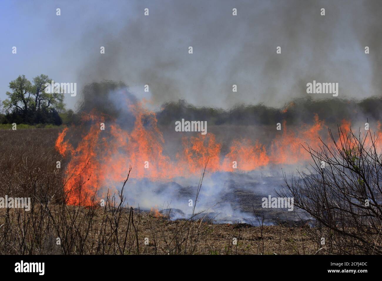 Field on fire with flames and smoke in Kansas in a farm field Stock ...
