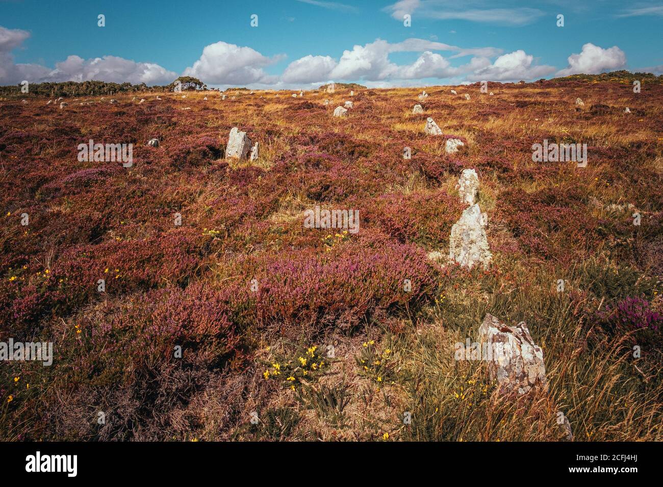 Caithness scotland peat* hi-res stock photography and images - Alamy