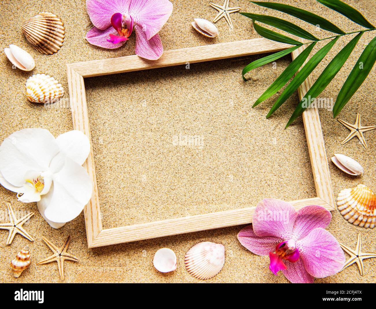 Summer beach decoration: frame with orchids, shells and starfish on a ...
