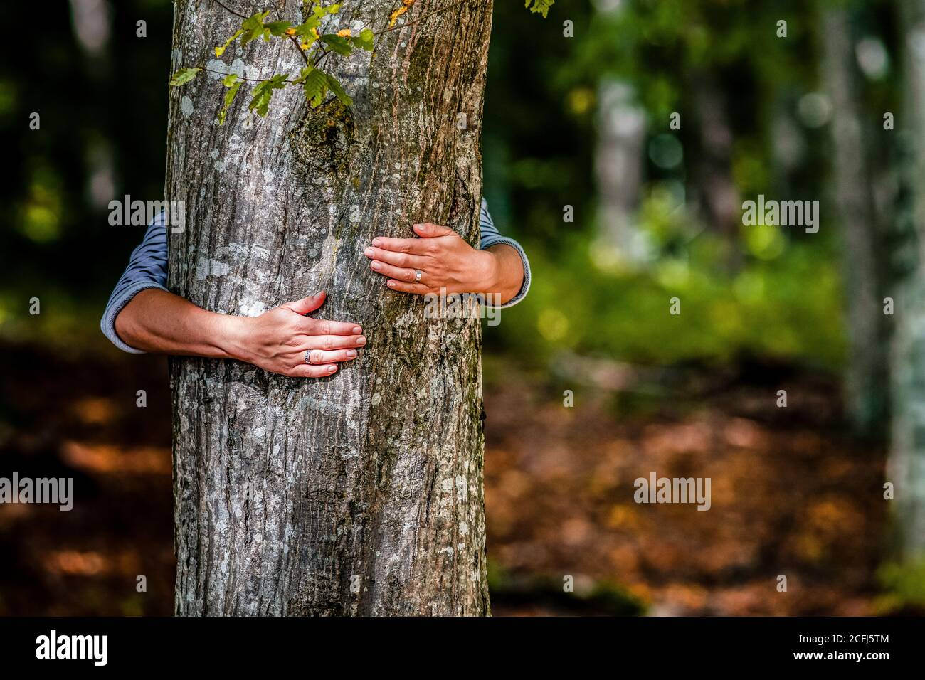 woman hand embracing a tree in the forest - nature loving, fight global ...