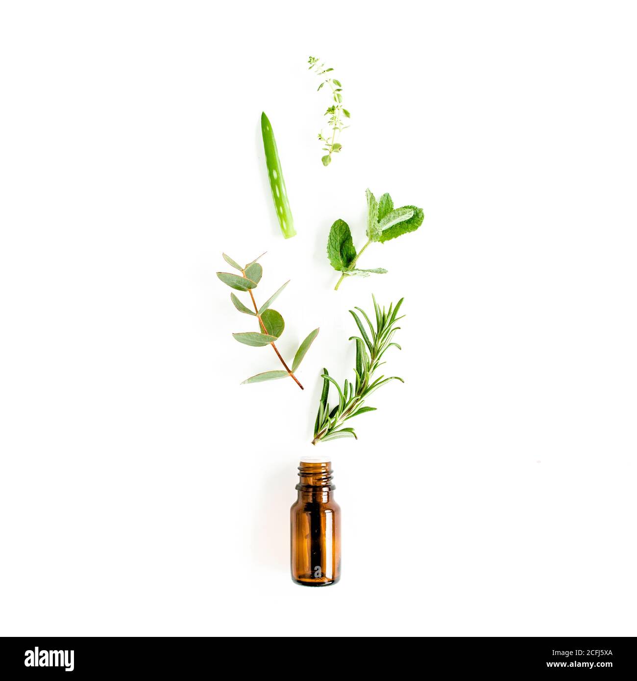 Essential oil and mix of herbs, green branches, leaves eucalyptus, aloe ...