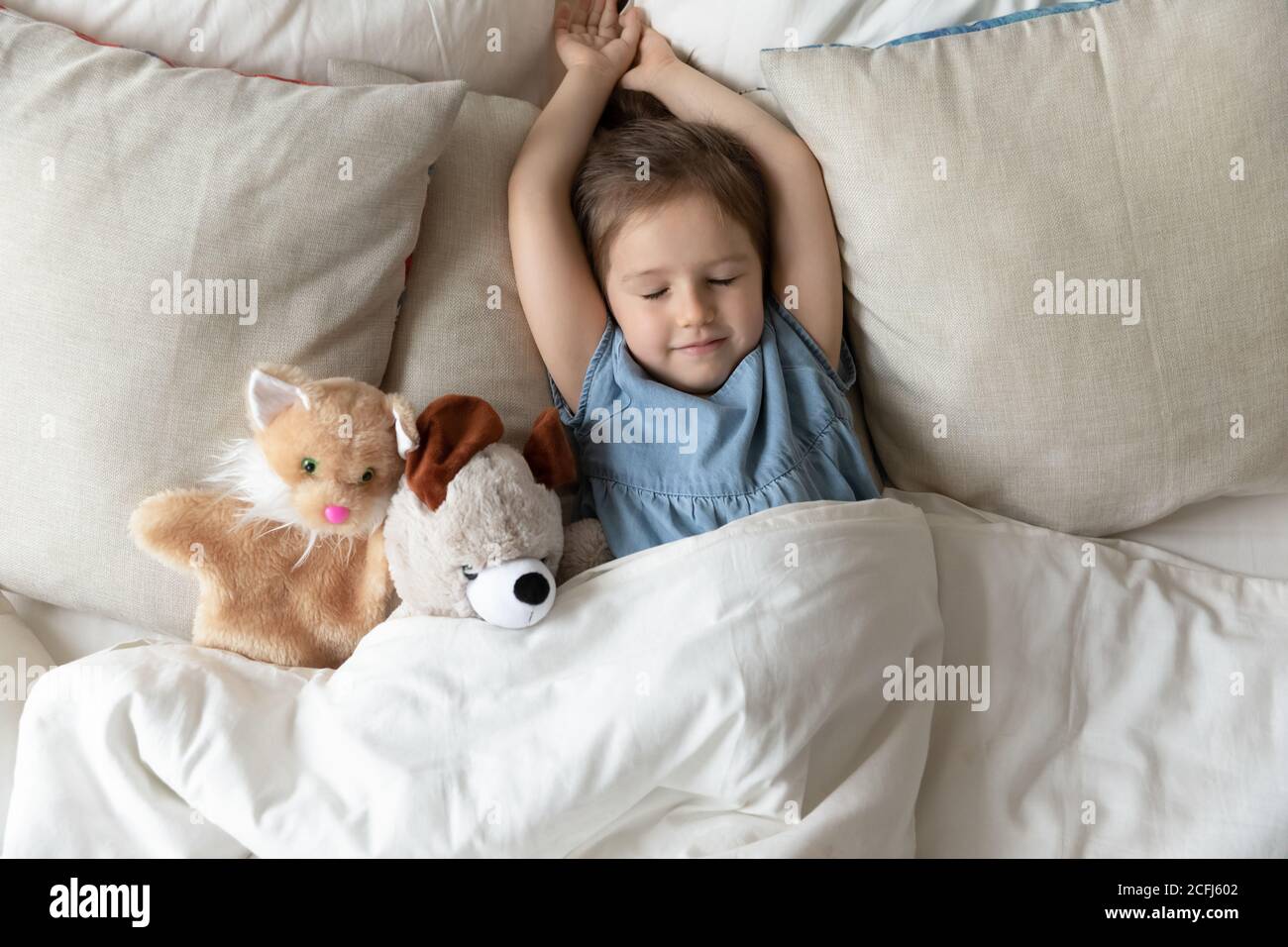Adorable cute girl sleeping in bed with fluffy animal toys Stock Photo ...