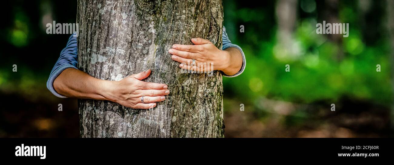 woman hand embracing a tree in the forest - nature loving, fight global ...