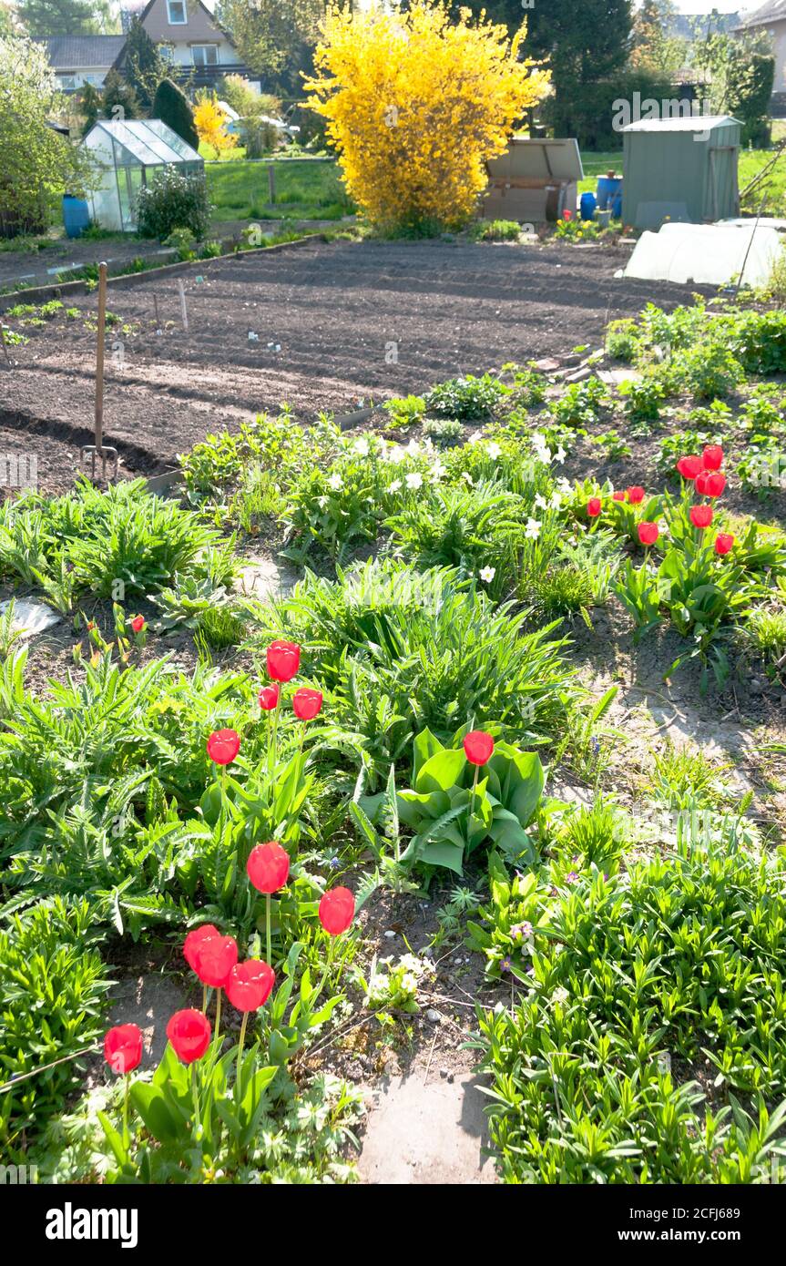 Empty garden bed hi-res stock photography and images - Alamy