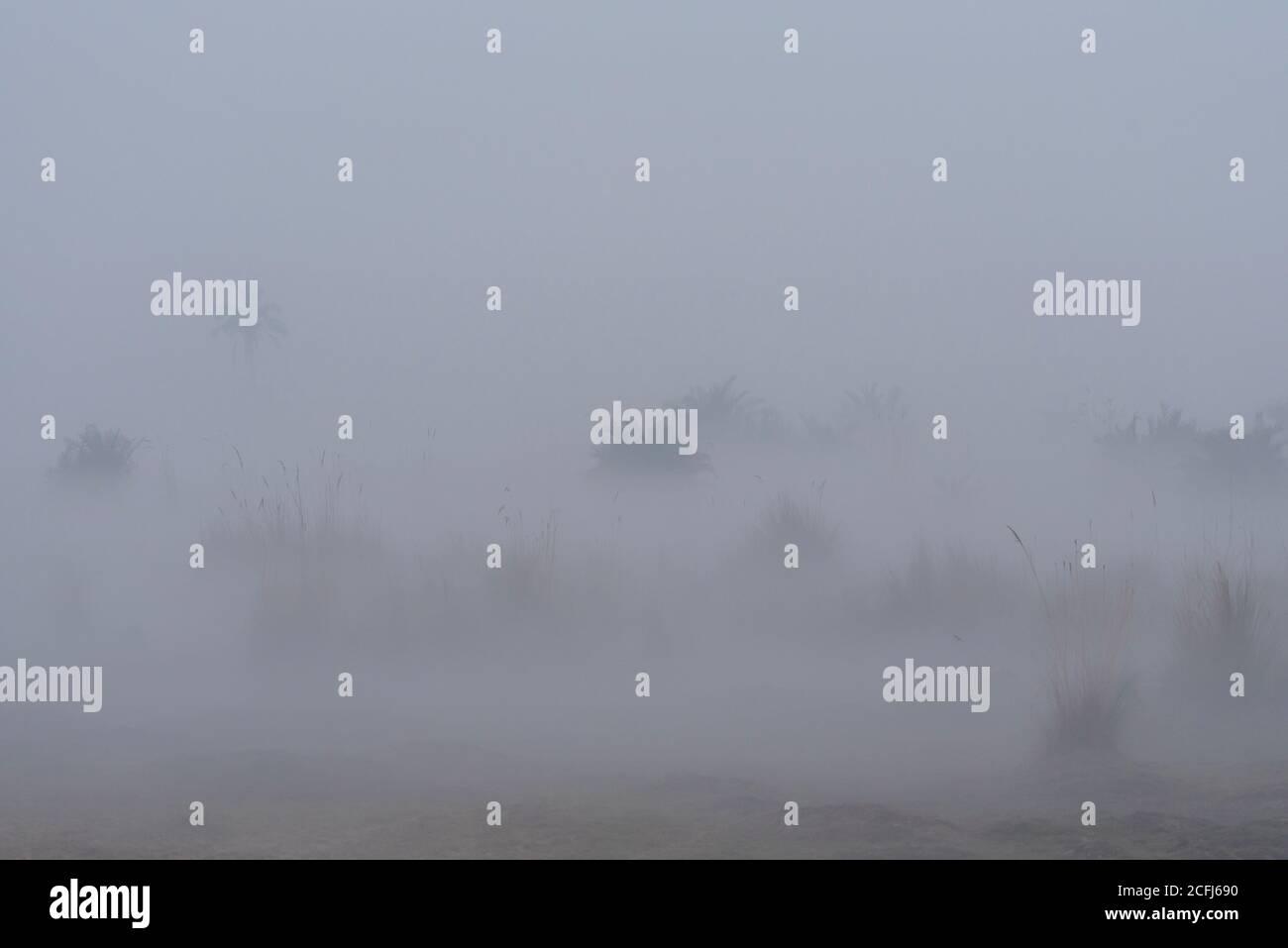 foggy landscape s for backgrounds Stock Photo - Alamy