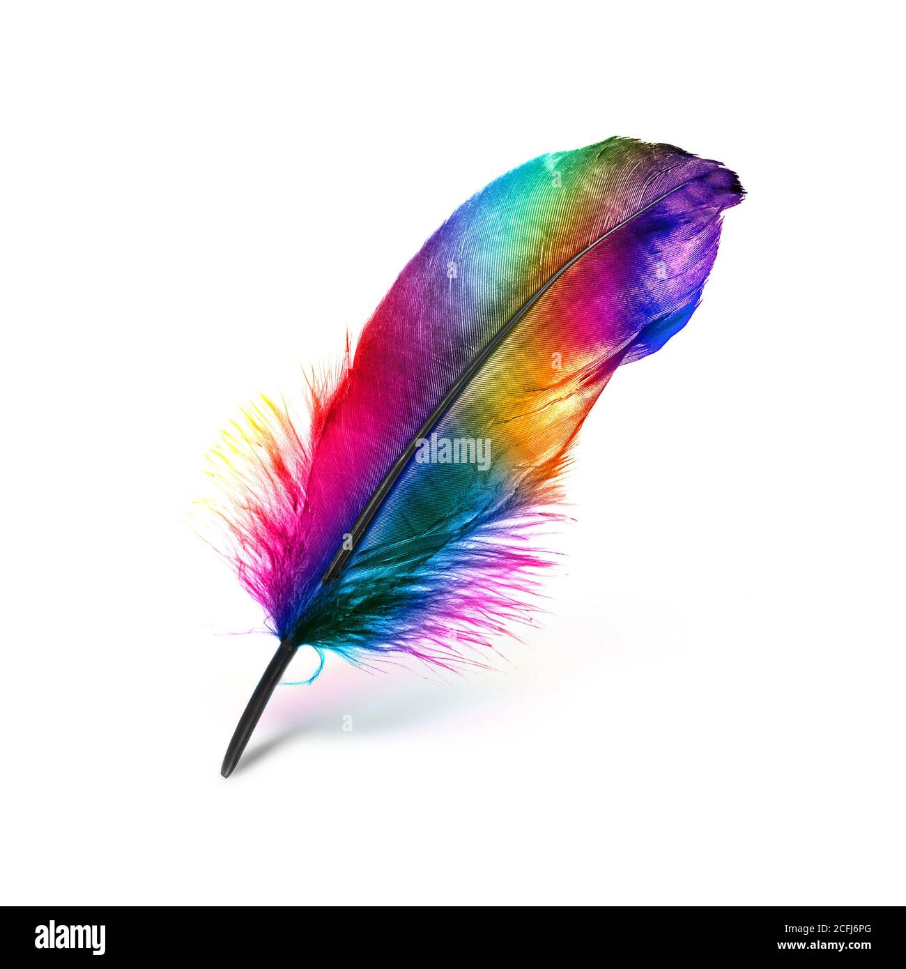Colourful feather art hi-res stock photography and images - Alamy