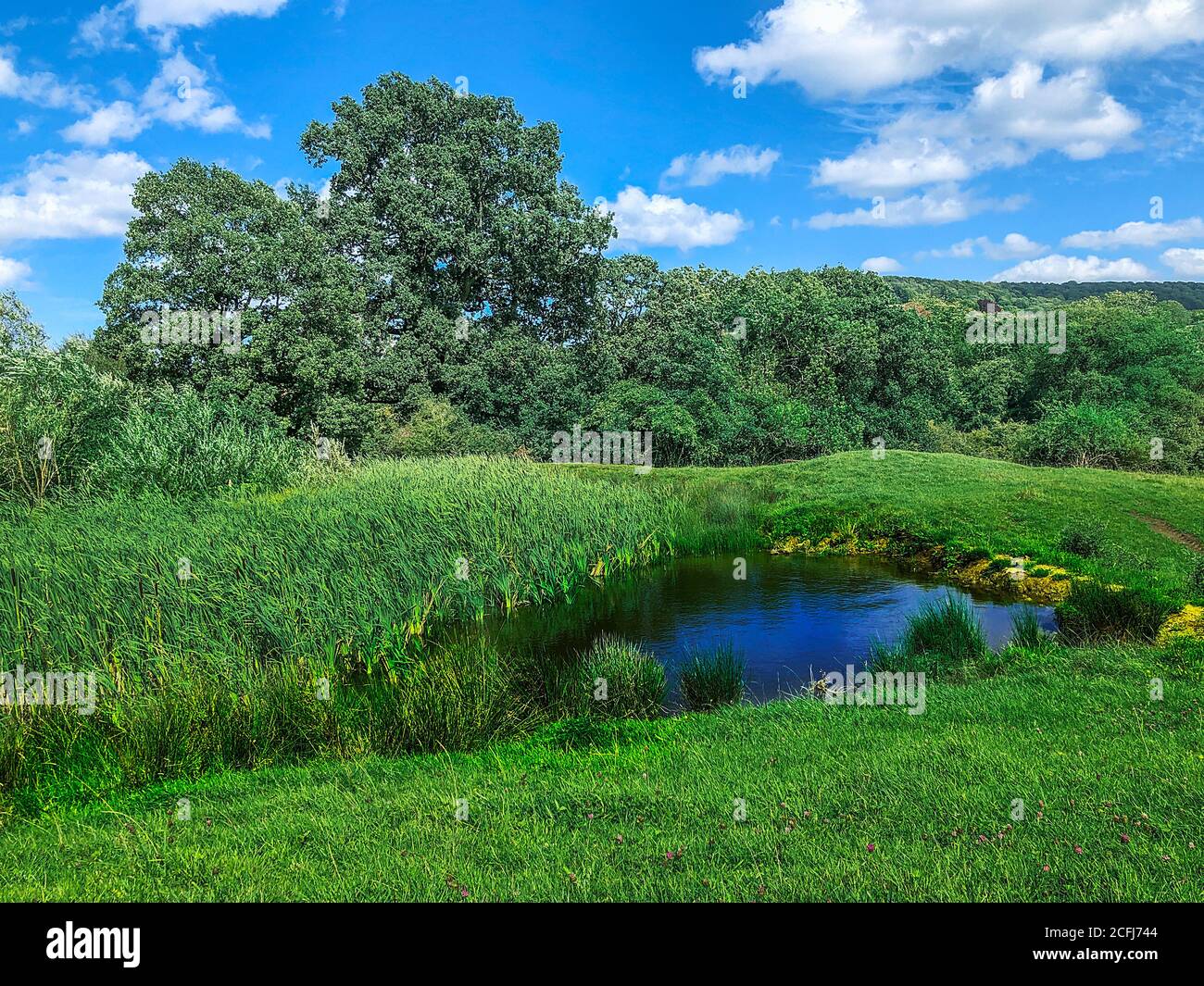 Rambling by a field hi-res stock photography and images - Alamy