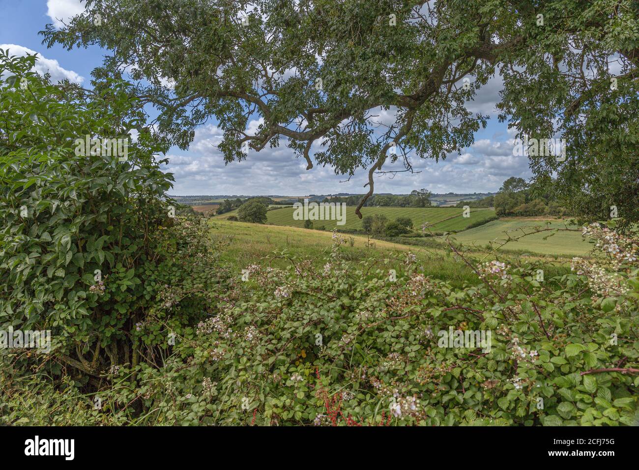 Little Rissington High Resolution Stock Photography and Images - Alamy