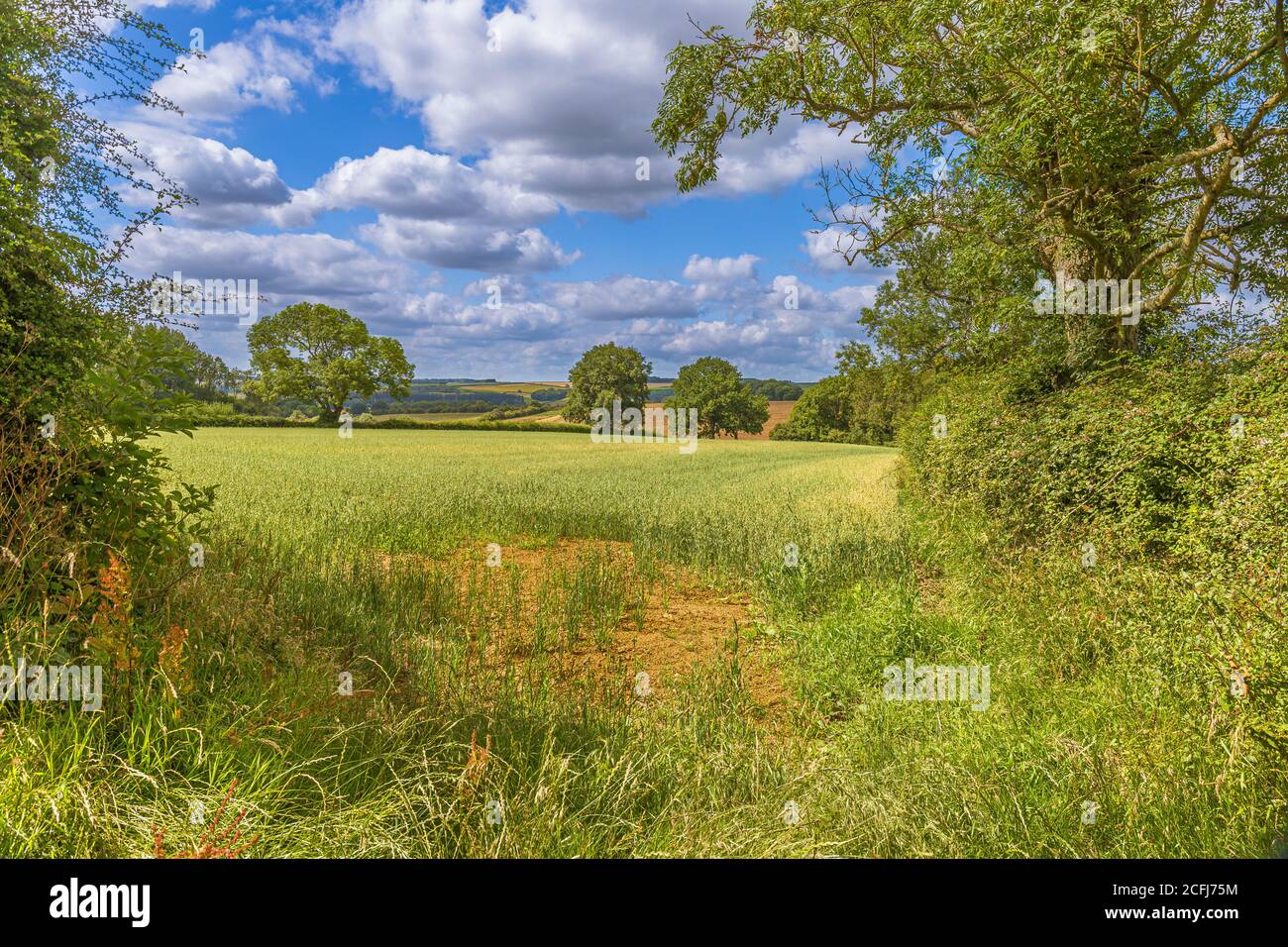 Countryside view between the Little and Great Rissington villages Stock ...