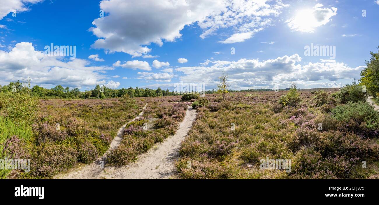 Common sight in the british countryside hi-res stock photography and ...