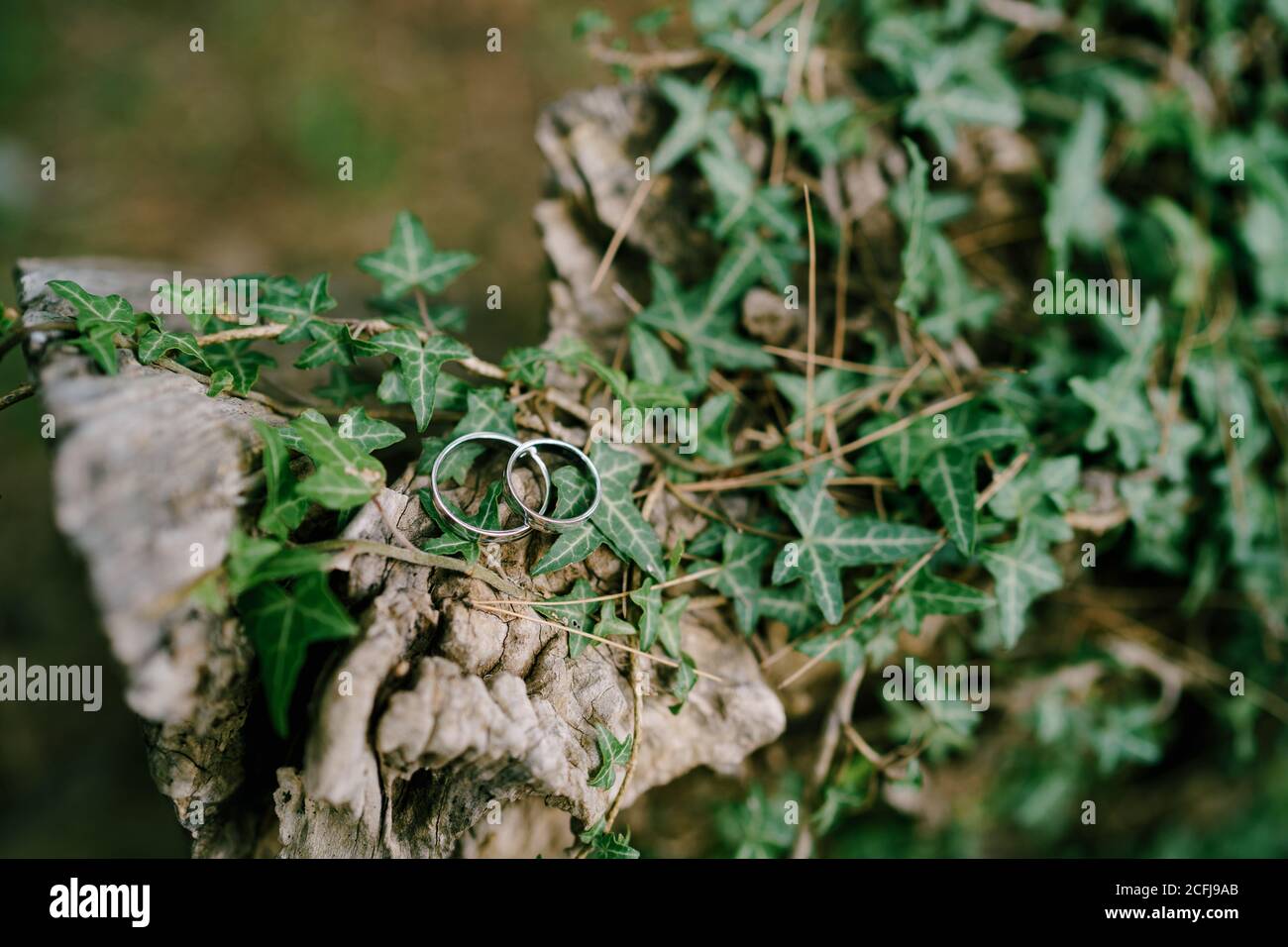 Entwined wedding rings hi-res stock photography and images - Alamy