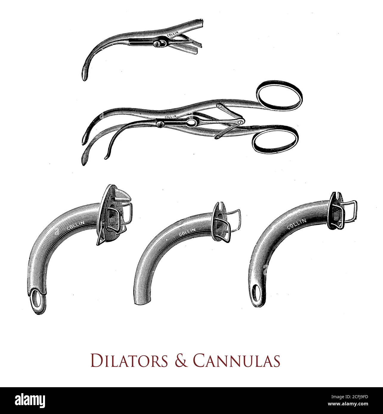 Cervical Dilator Tent