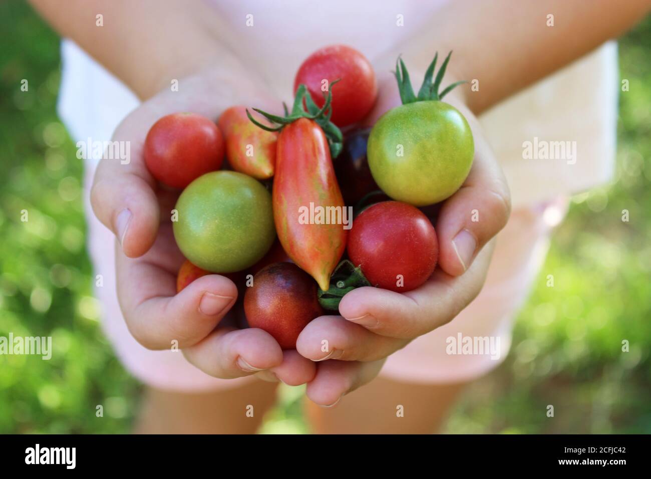 Tomatoes outdoor girl hi-res stock photography and images - Alamy