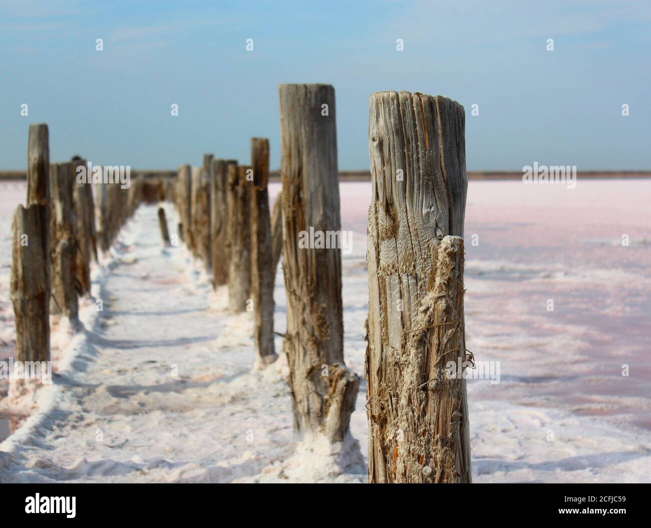 Salt extraction on pink lake hi-res stock photography and images - Alamy