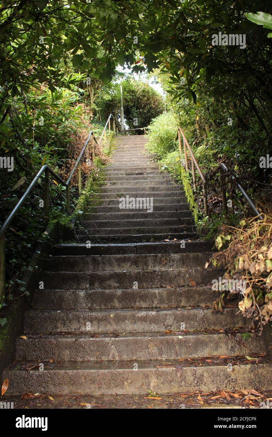 Outside steps and handrail hi-res stock photography and images - Alamy