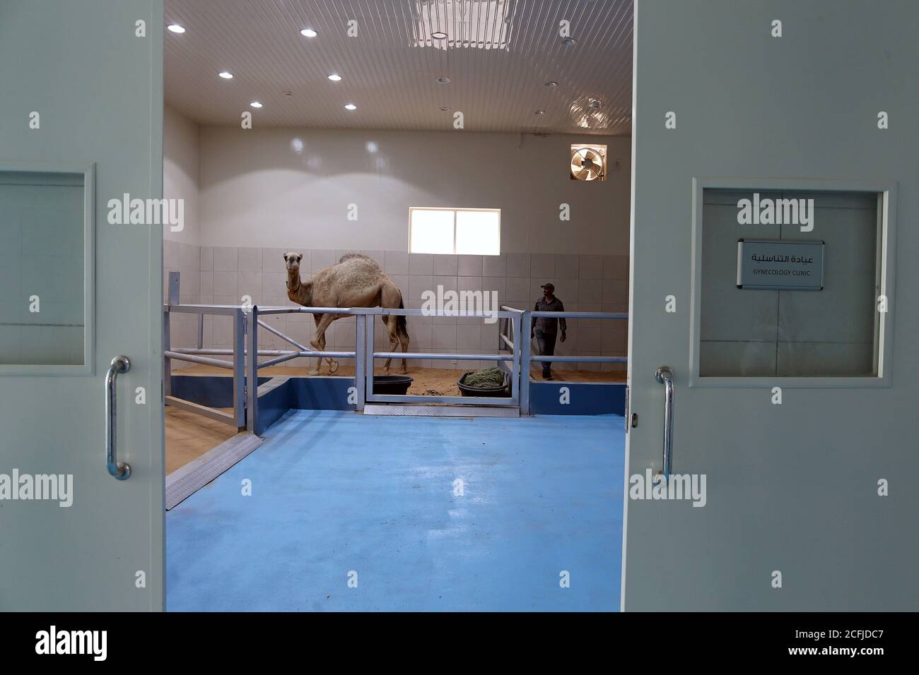 Buraidah saudi hi-res stock photography and images - Alamy
