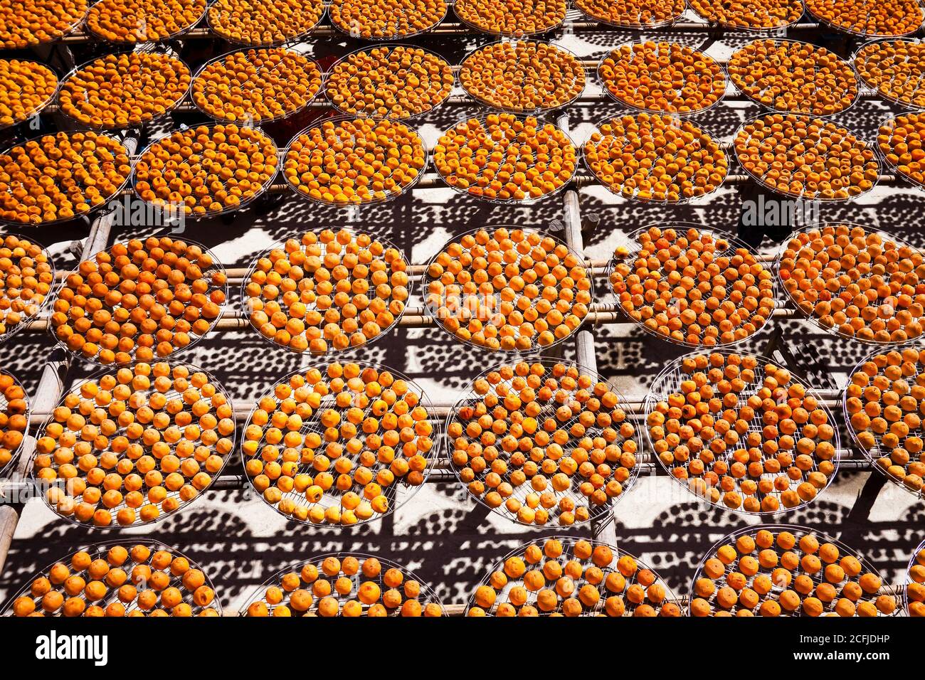 Process of Making Dried Persimmon during Windy Autumn in Hsinpu (With ...