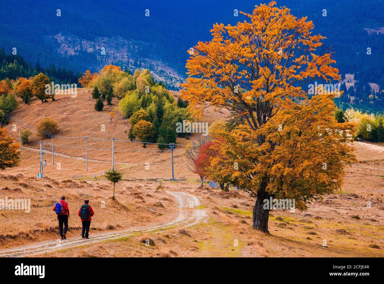 people trekking in beautiful autumn scenery Stock Photo - Alamy