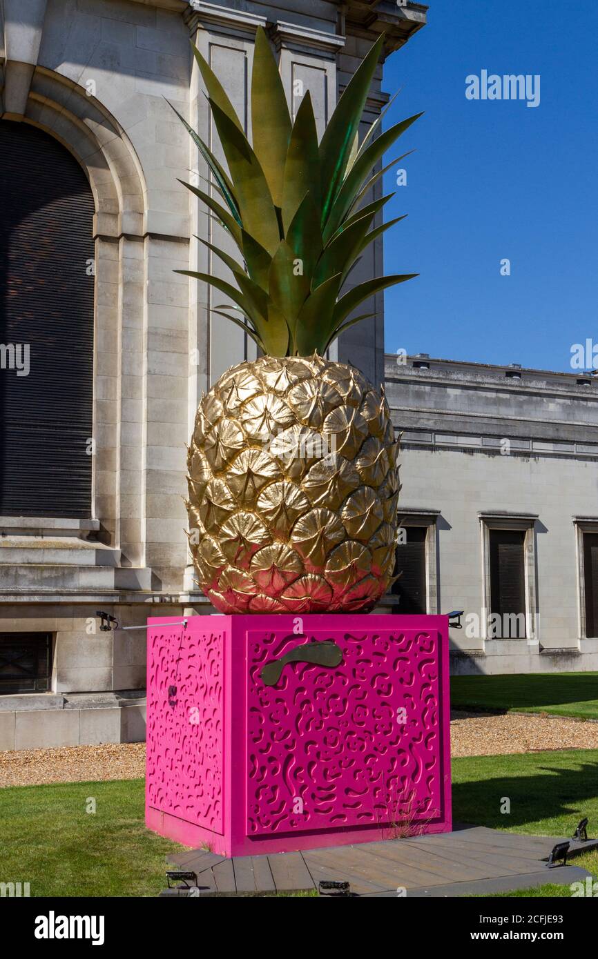 Pineapple exterior hi-res stock photography and images - Alamy