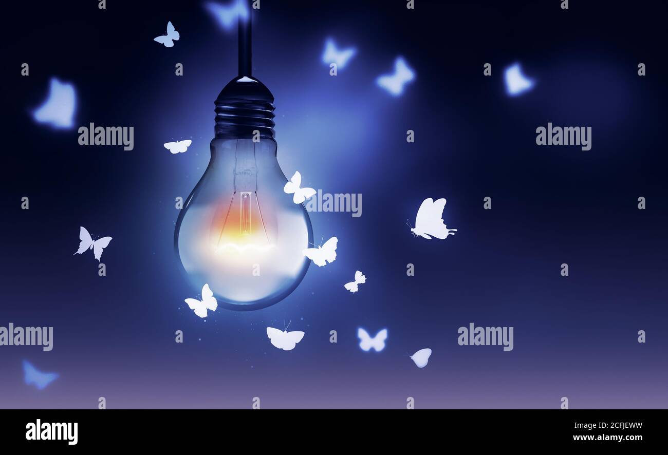Moths Flying Light Bulb High Resolution Stock Photography and Images ...