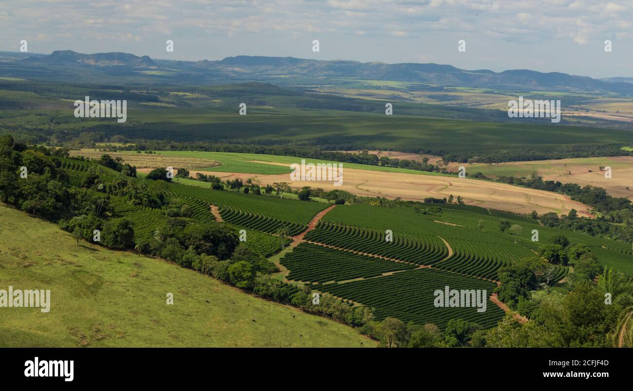 Coffee farm mexico hi-res stock photography and images - Alamy