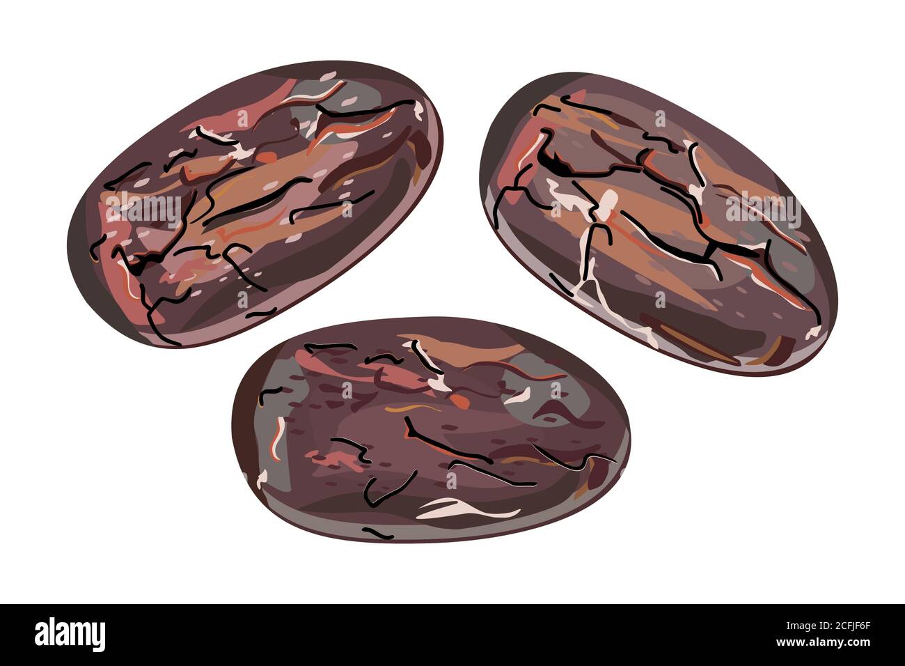 Cocoa beans isolated on white background. Three cacao seeds. Chocolate ...
