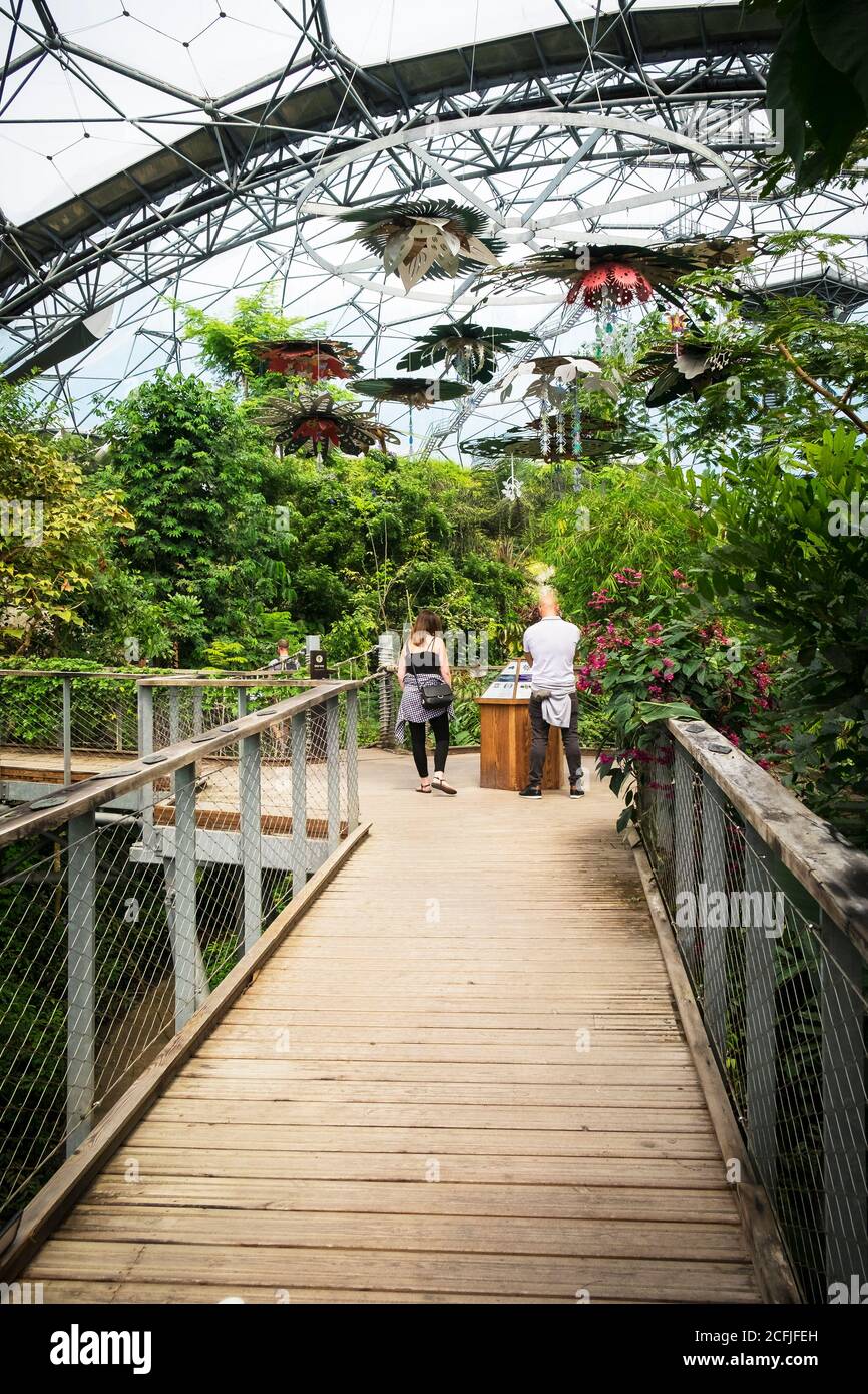 Eden project cornwall interior hi-res stock photography and images - Alamy