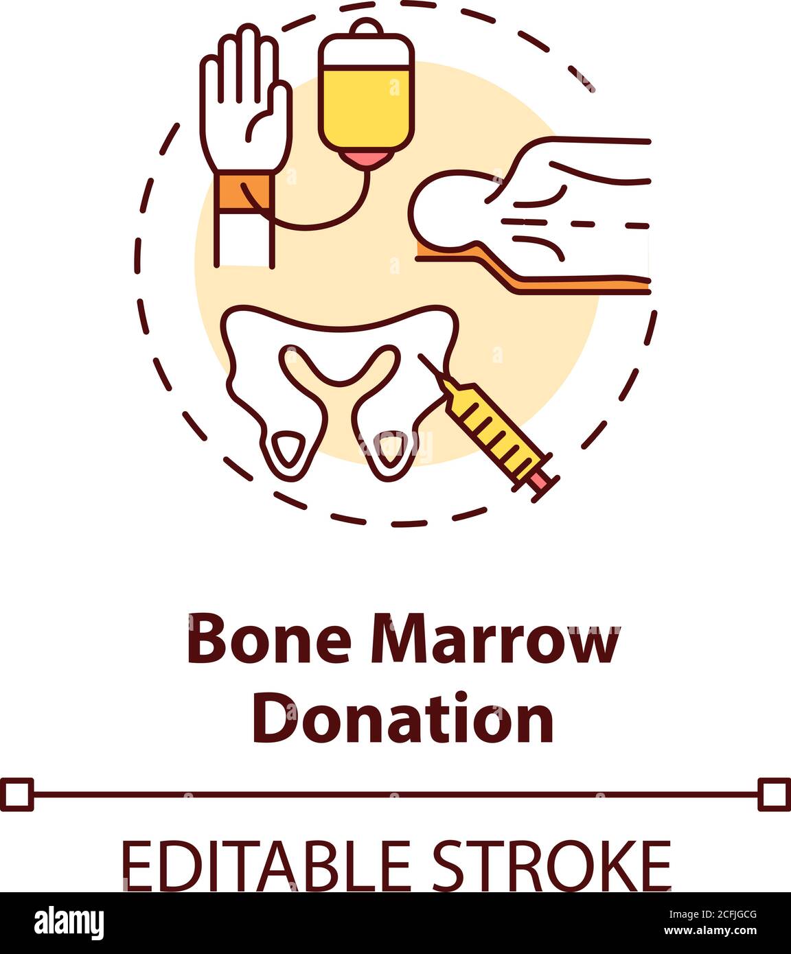 Marrow Extraction High Resolution Stock Photography and Images - Alamy