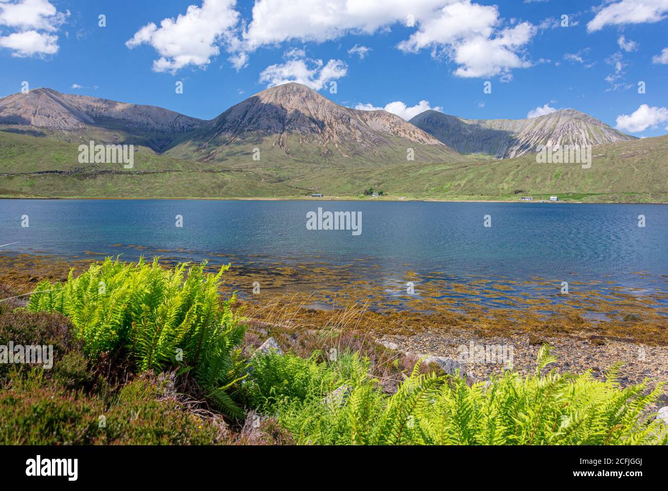 Fearn scotland hi-res stock photography and images - Alamy