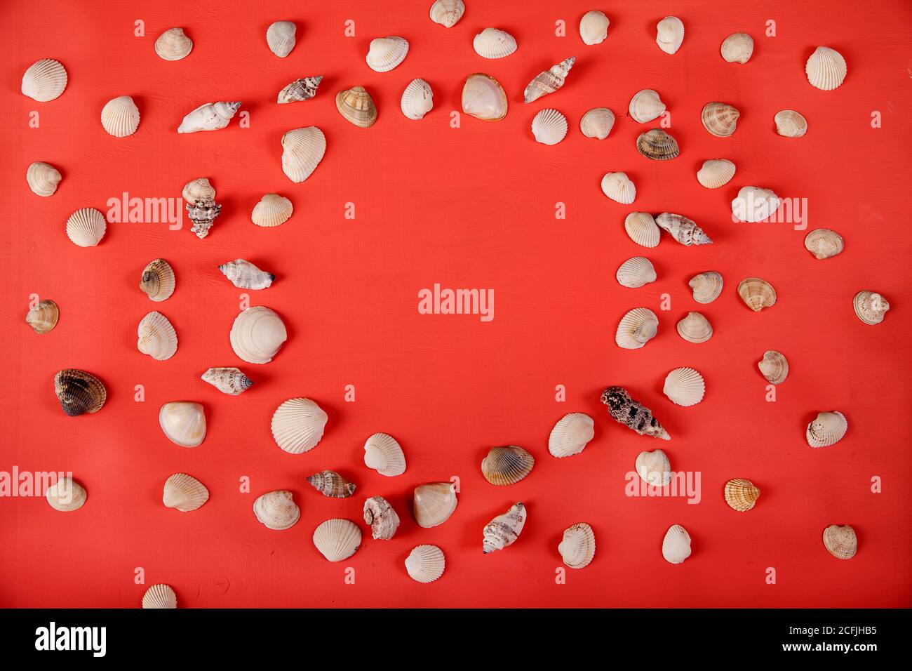 Small sea shells scattered in a circle lie on a pink background. Copy ...
