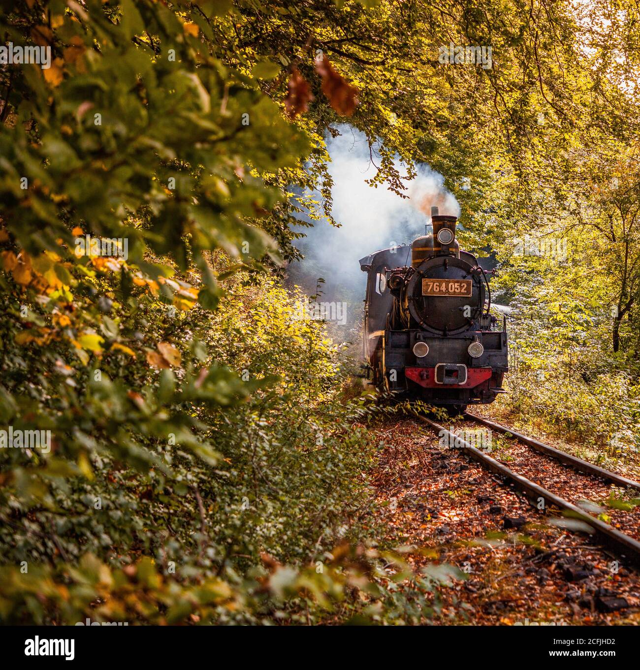 vintage old steam train in the forest - slow travel Stock Photo - Alamy