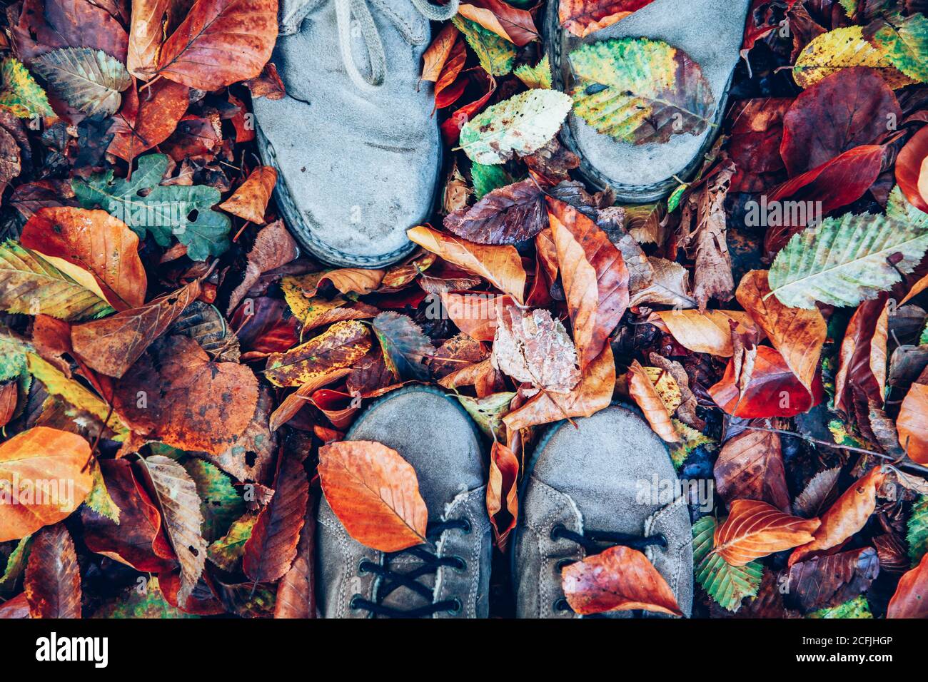 couple feet in autumn foliage Stock Photo - Alamy
