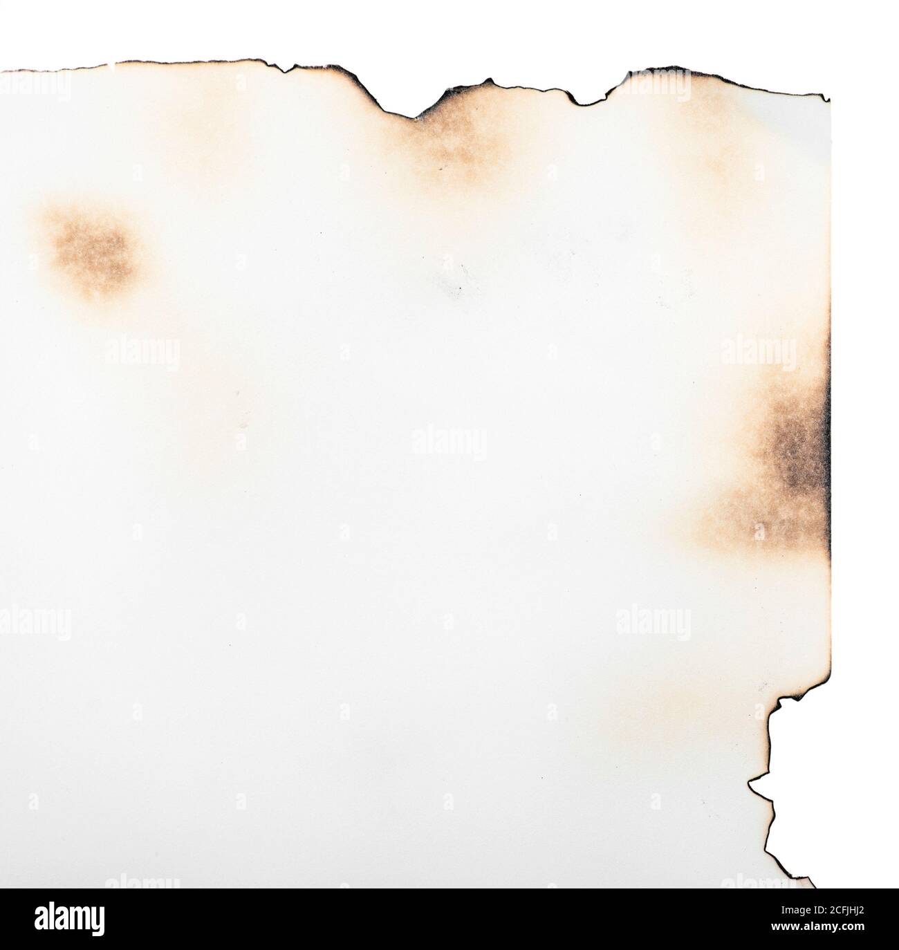 Burnt White Paper Texture