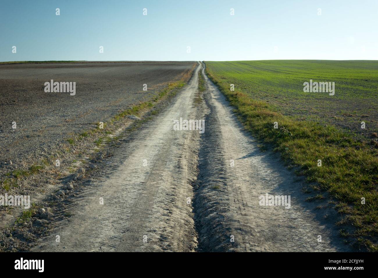 Long ground road through fields, October view Stock Photo - Alamy