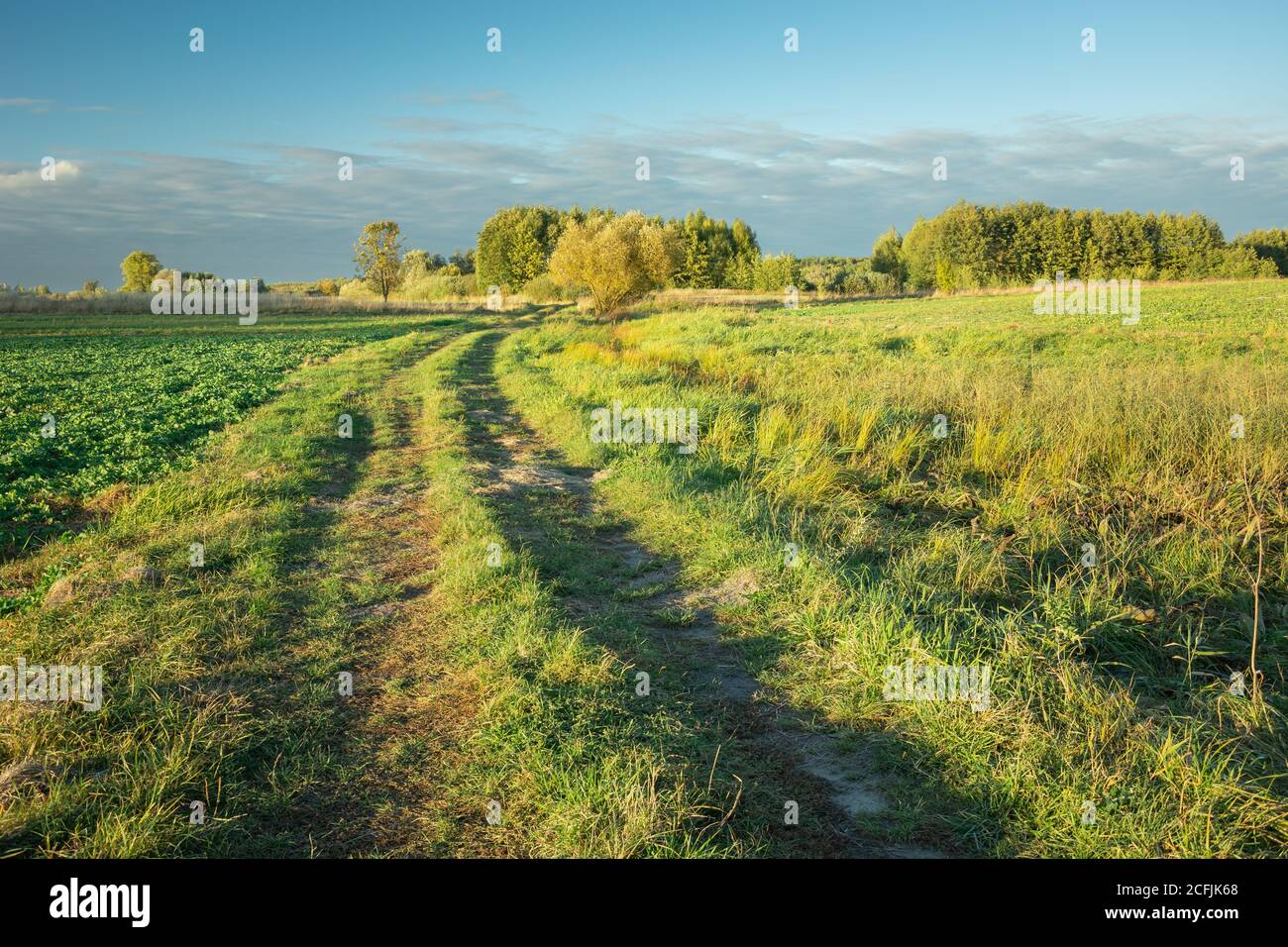 Sunny country fields hi-res stock photography and images - Alamy
