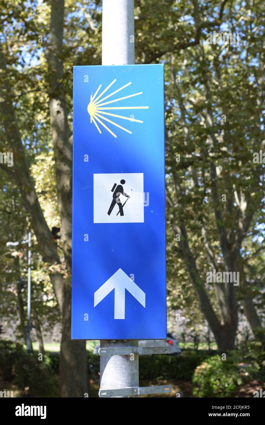 Vertical shot of a street sign on a poll with trees in a part on the ...