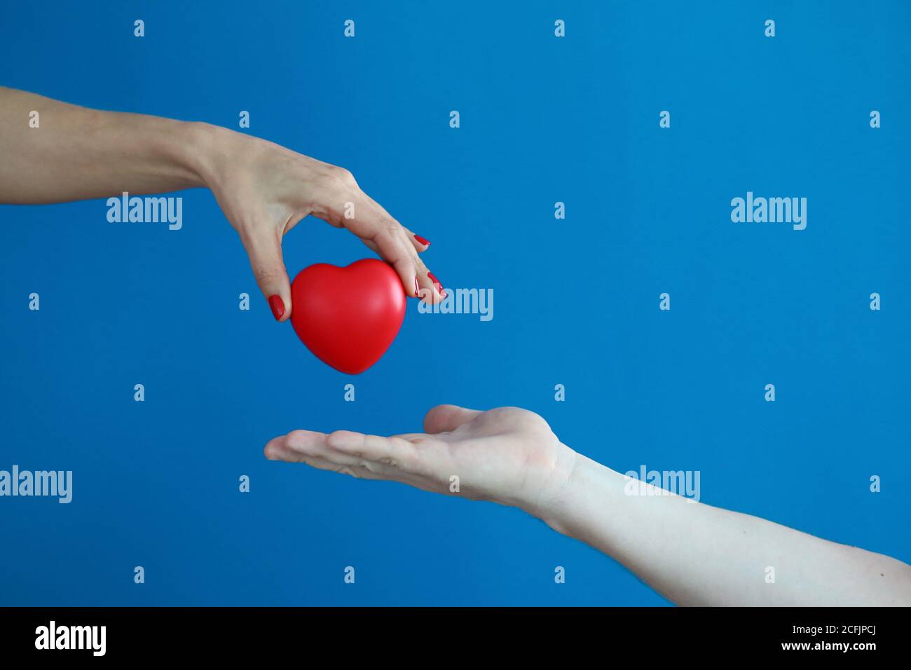 Female hand holds red heart and transfers it to male hand Stock Photo ...