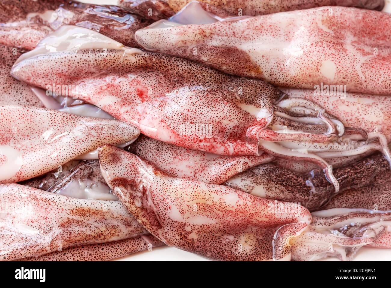 Close up of fresh ancooked squids. Top view. Seafood concept Stock ...