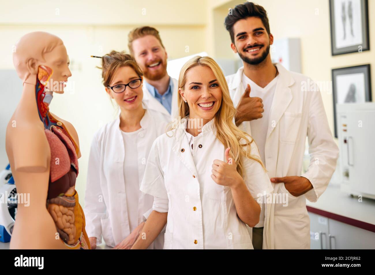 Student of medicine examining model of human body Stock Photo - Alamy