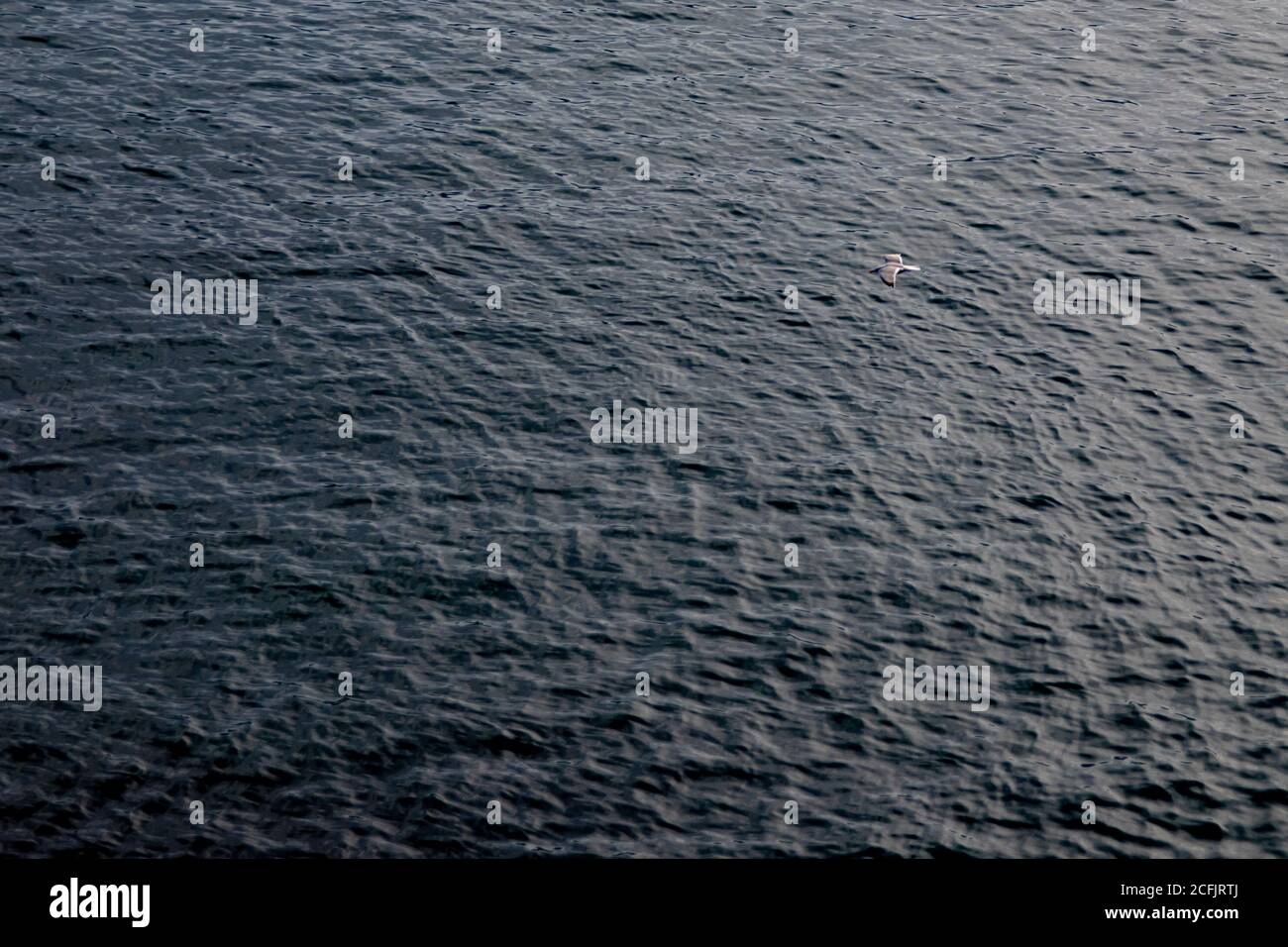 Mesmerizing shot ocean wave hi-res stock photography and images - Alamy