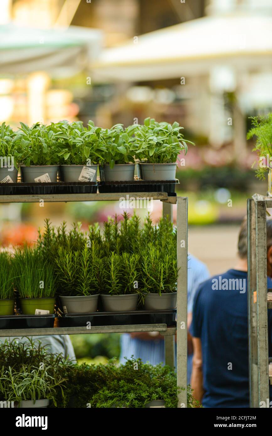 Cremona, Italy - 5 september 2020 People wearing face masks shopping ...