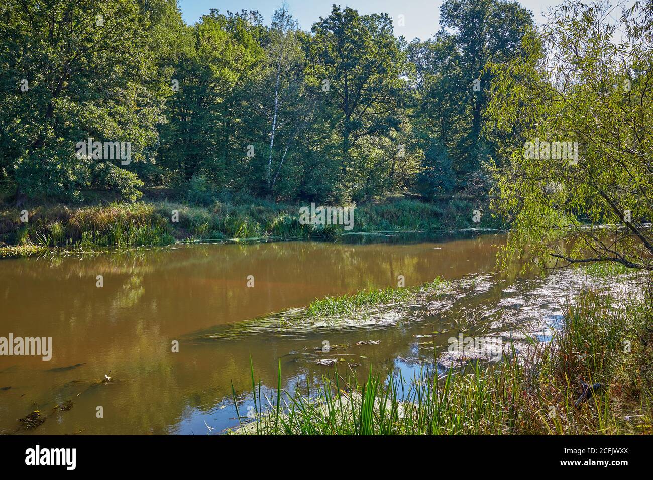 Scenic landscape with calm river and green vegetation Stock Photo - Alamy