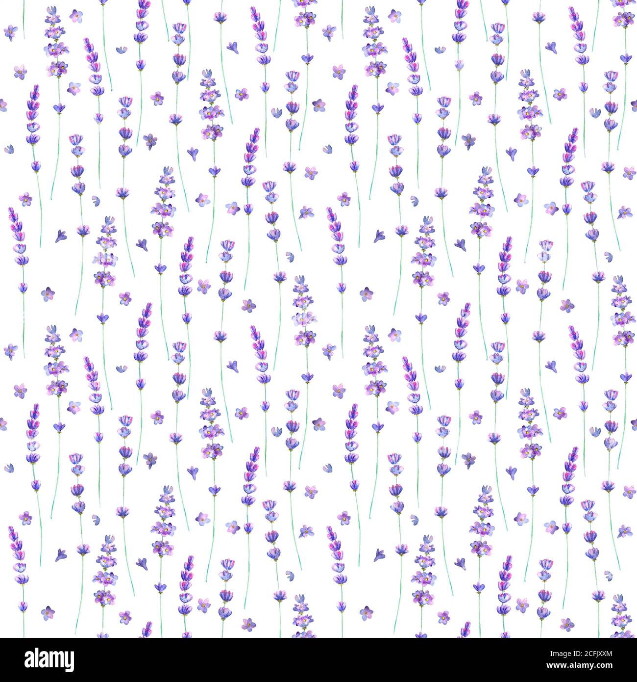 Lavender flowers watercolor seamless pattern on white background ...
