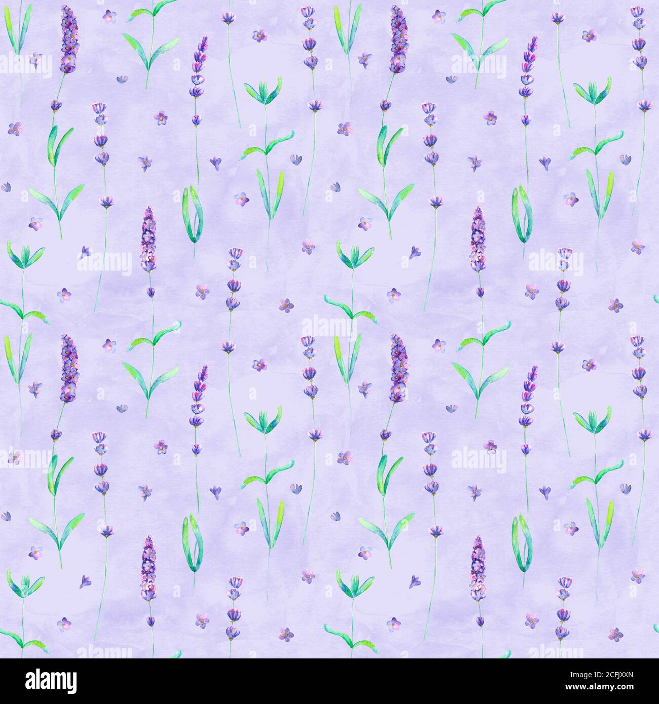 Lavender flowers watercolor seamless pattern on purple background ...