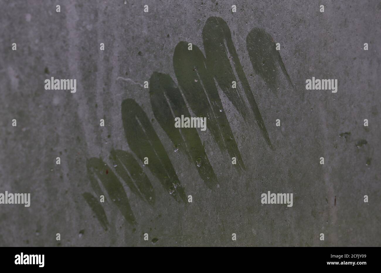 Dove in a window hi-res stock photography and images - Alamy