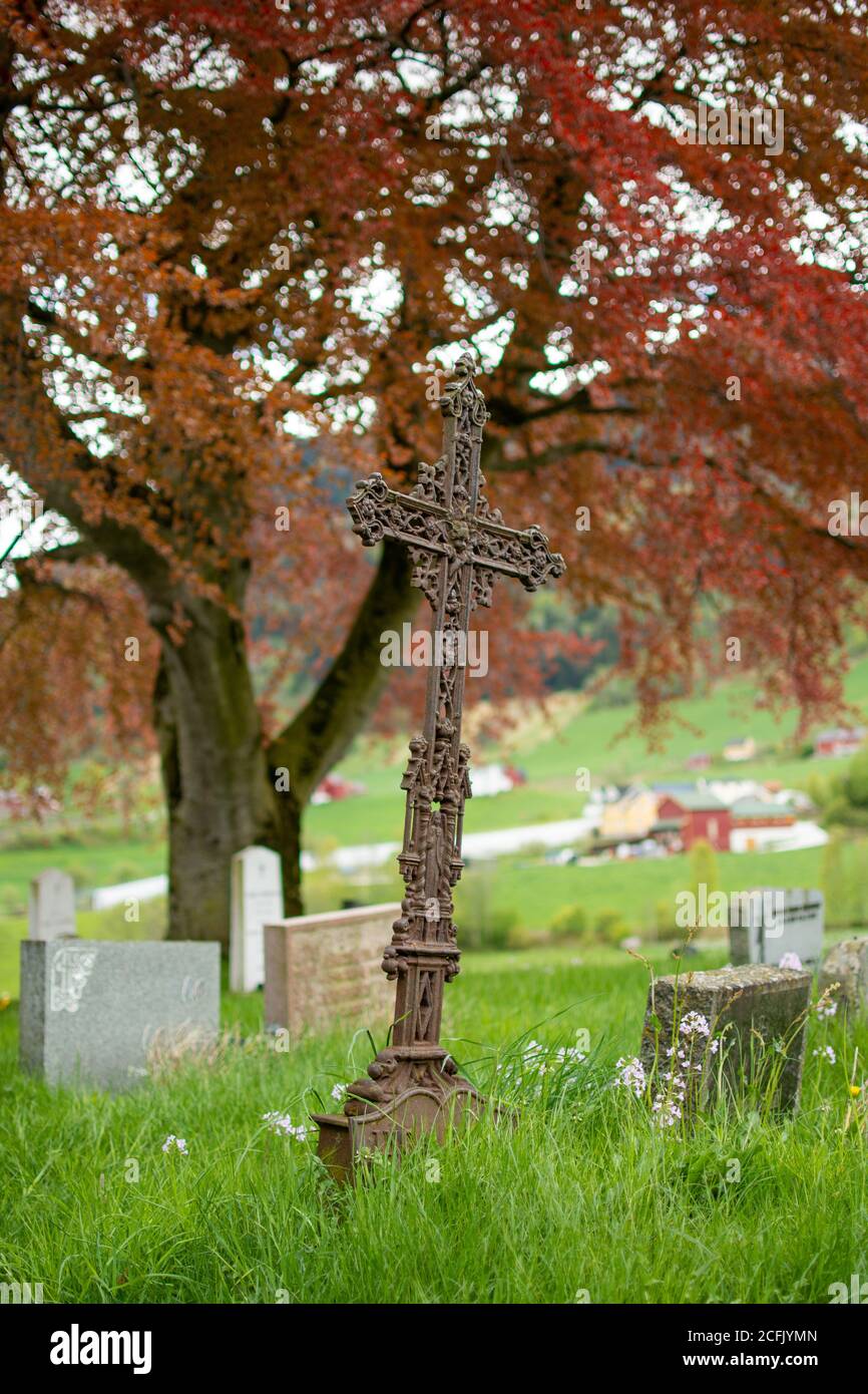 Grave surrounded by greenery hi-res stock photography and images - Alamy