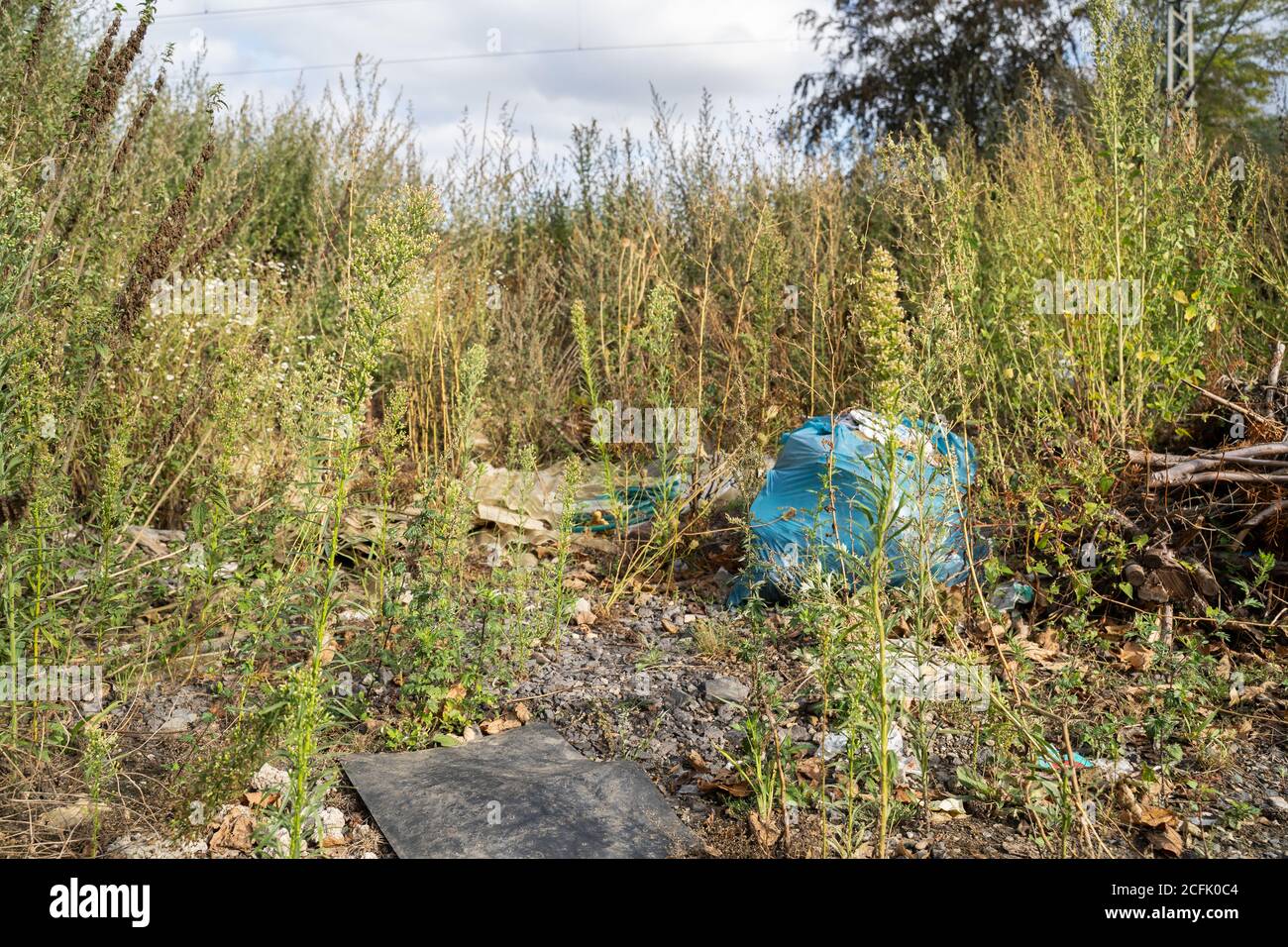 Pile of garbage in the park during the daytime Stock Photo - Alamy